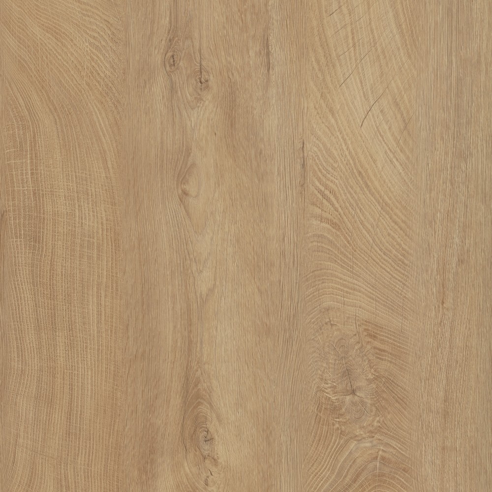 MDF Stejar Natural ST - Darel.ro